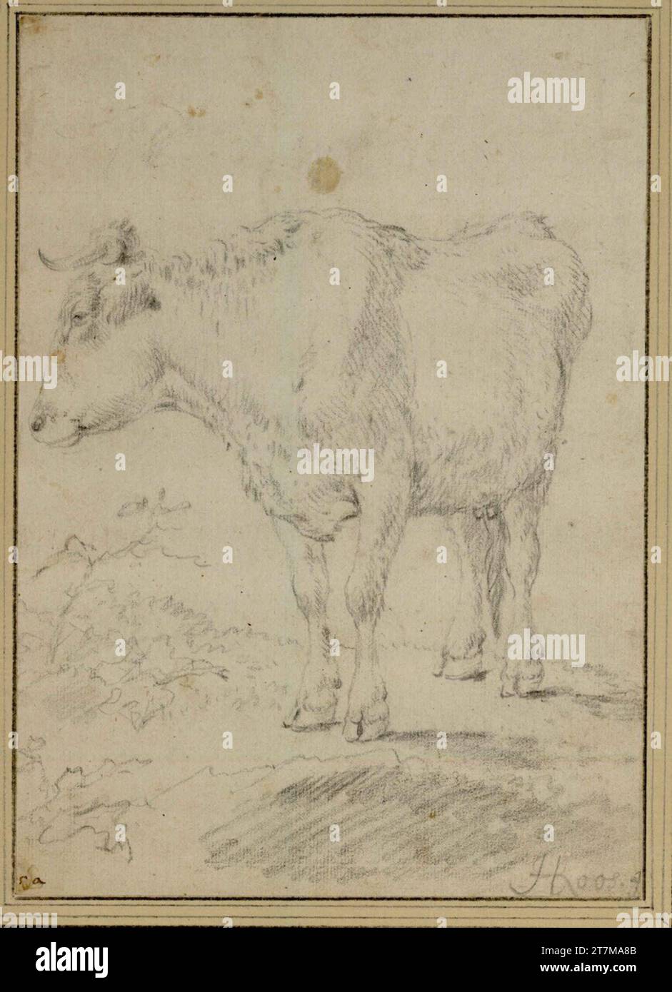 Johann Heinrich Roos Cow to the left. Stone after 1670 Stock Photo - Alamy Johann Heinrich Roos Cow to the left. Stone after 1670 Stock Photo - Alamy