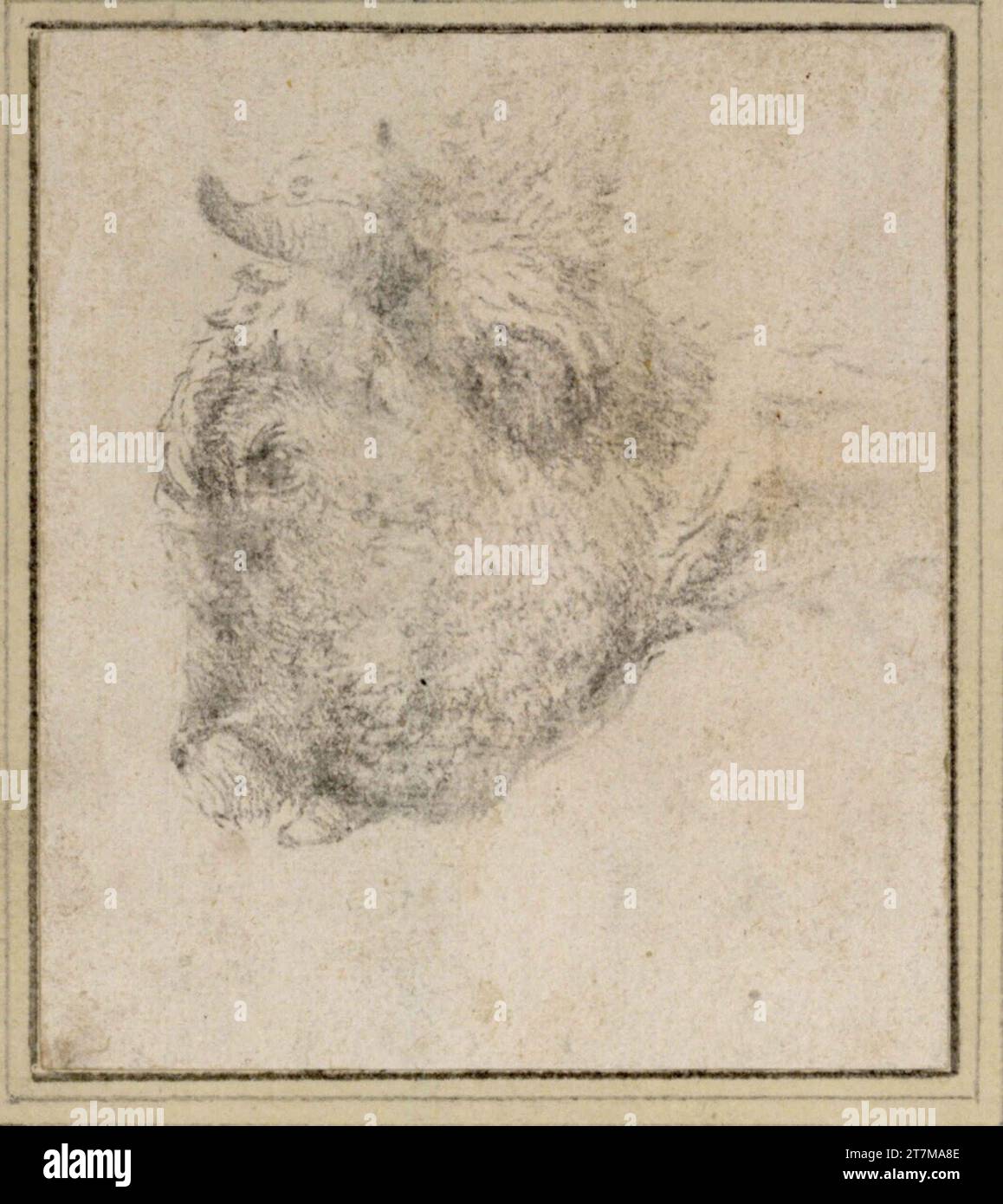 Theodor roos hi-res stock photography and images - Alamy