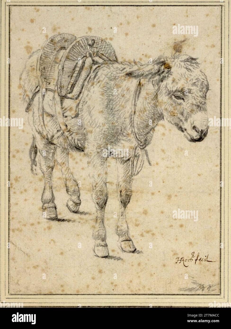 Johann Heinrich Roos Selded donkey. Stone around 1660 Stock Photo - Alamy Johann Heinrich Roos Selded donkey. Stone around 1660 Stock Photo - Alamy