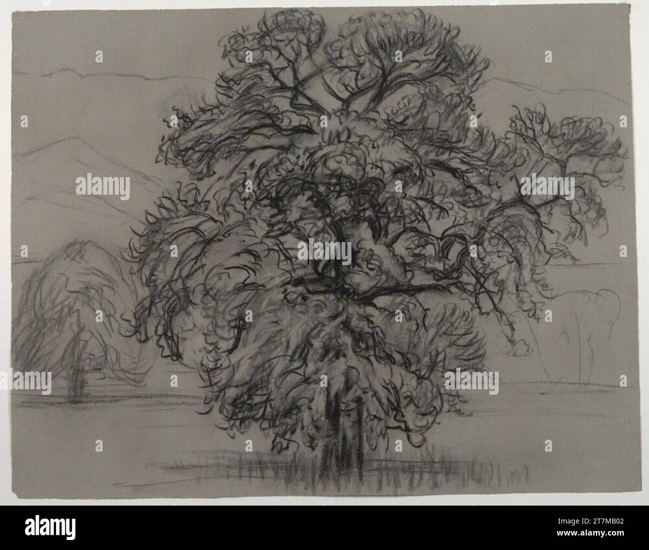 Walther Gamerith Tree study. Coal Stock Photo - Alamy Walther Gamerith Tree study. Coal Stock Photo - Alamy