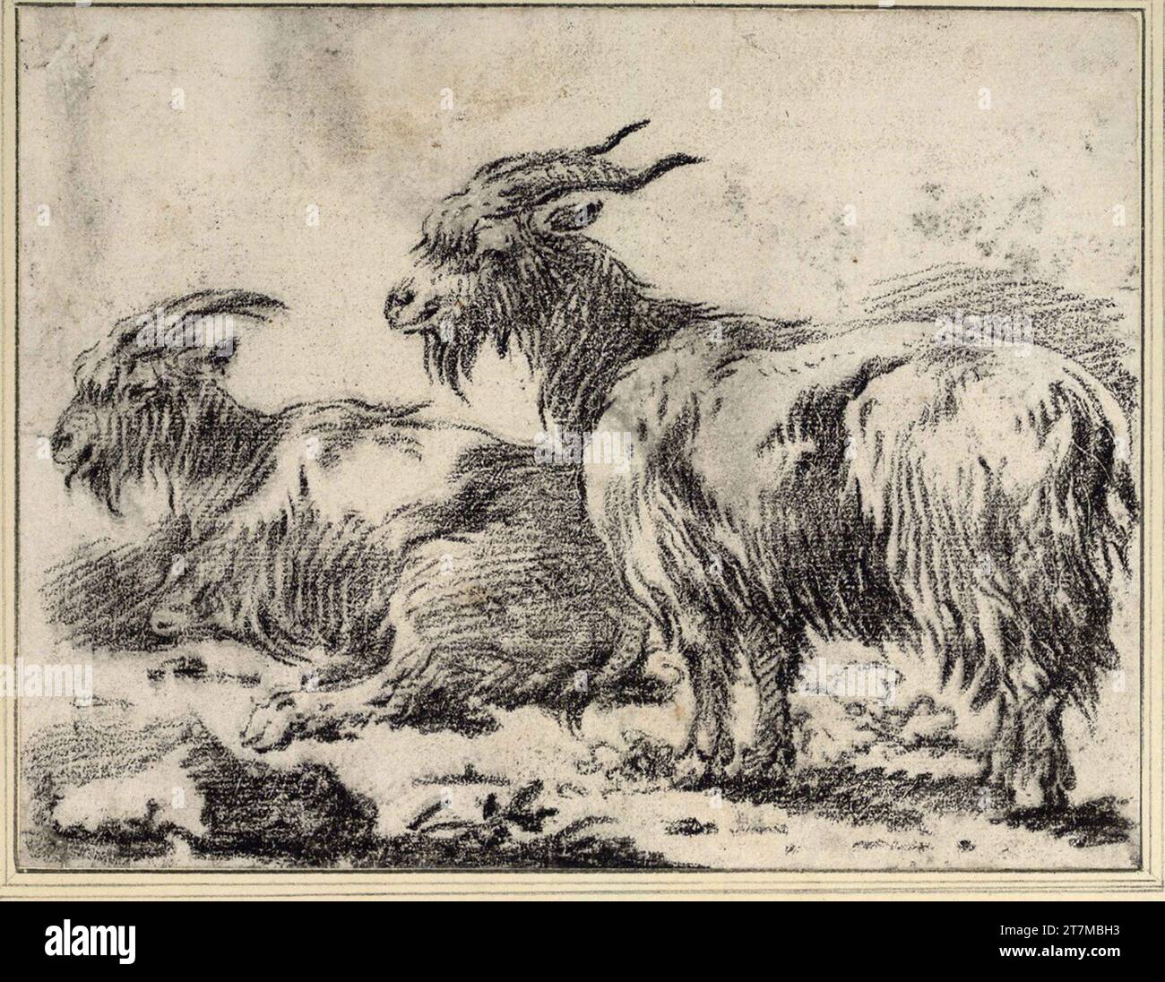 Philipp Peter Roos Lying and standing billy goat. Black chalk Stock ...