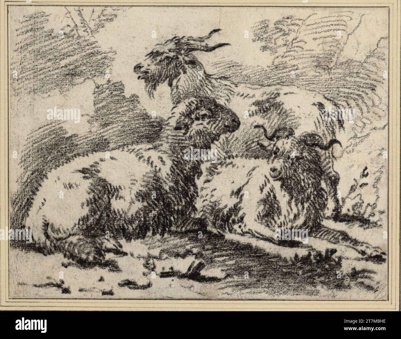 Philipp Peter Roos Lying sheep and ram, behind it standing goat. Black ...