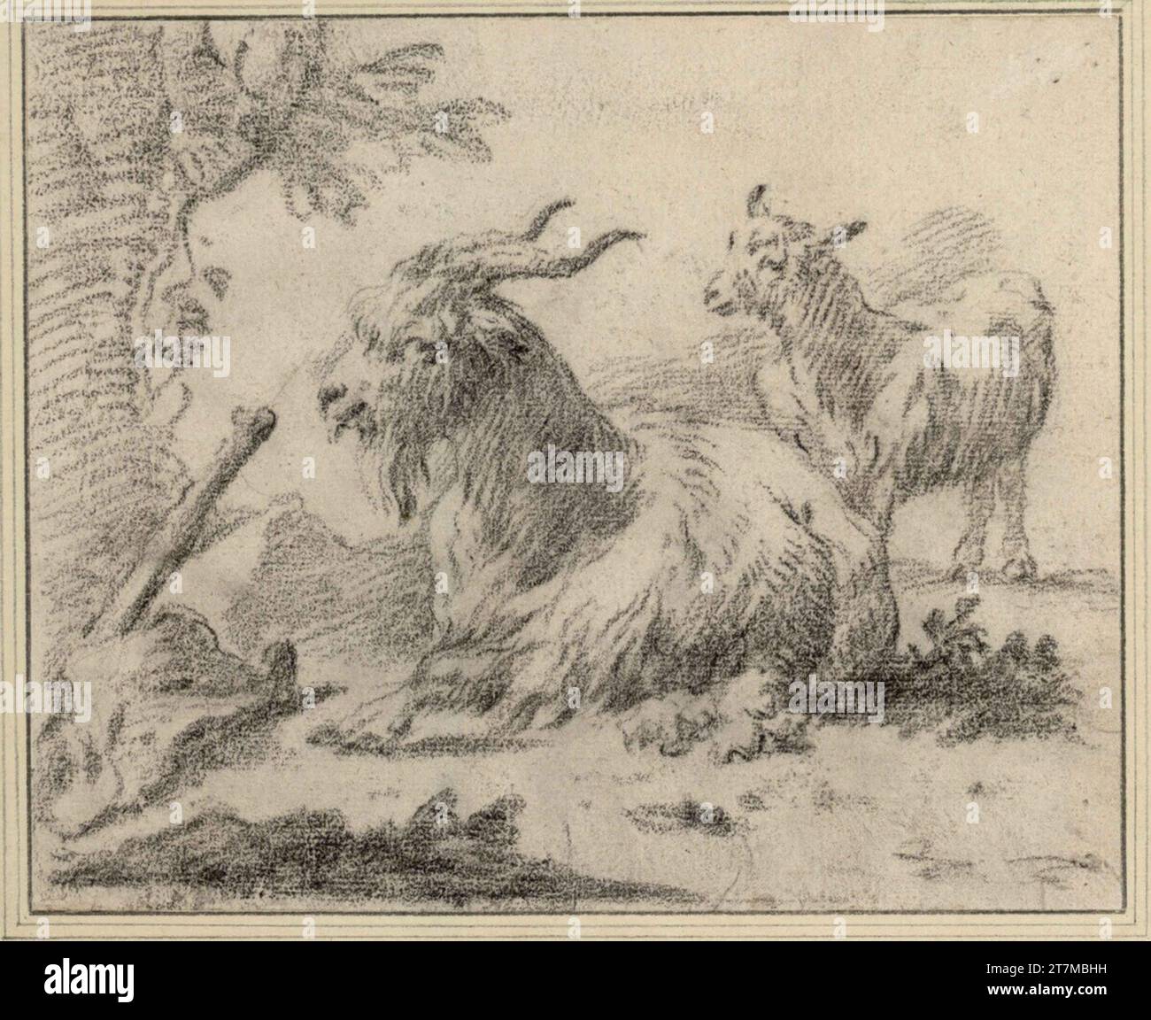 Philipp Peter Roos Lying billy goat and standing sheep. Black chalk ...