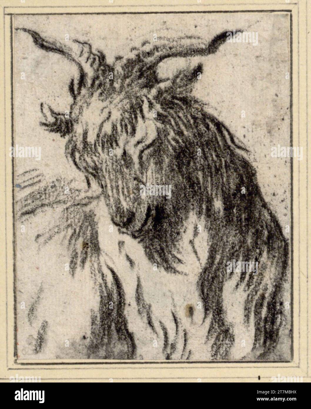 Philipp Peter Roos Goat head. Black chalk Stock Photo - Alamy