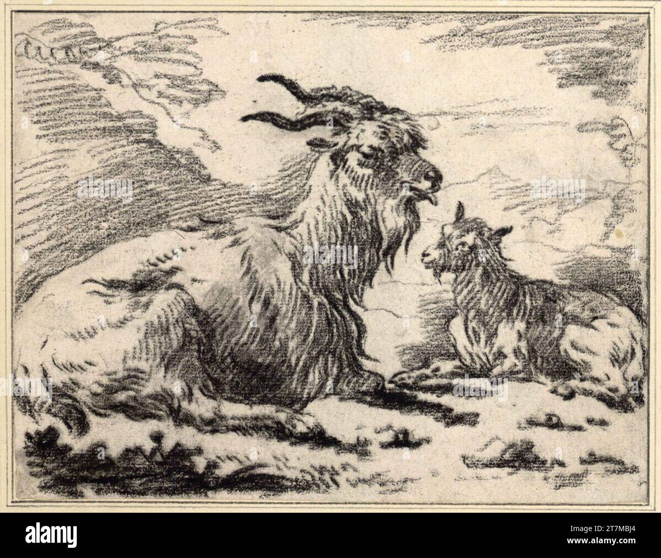 Philipp Peter Roos Lying goat and goat. Black chalk Stock Photo - Alamy