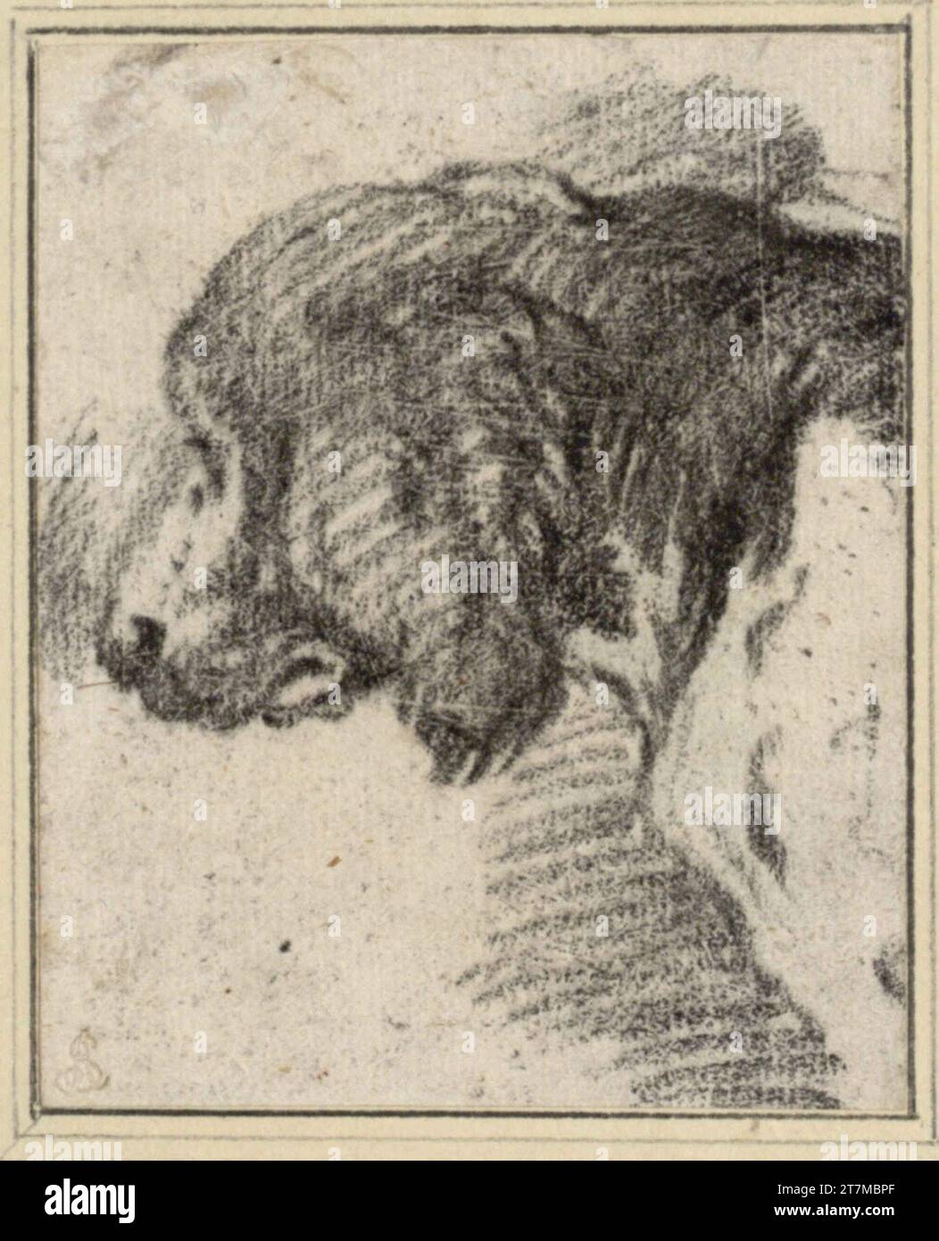 Philipp Peter Roos Hunting dog head. Black chalk Stock Photo - Alamy