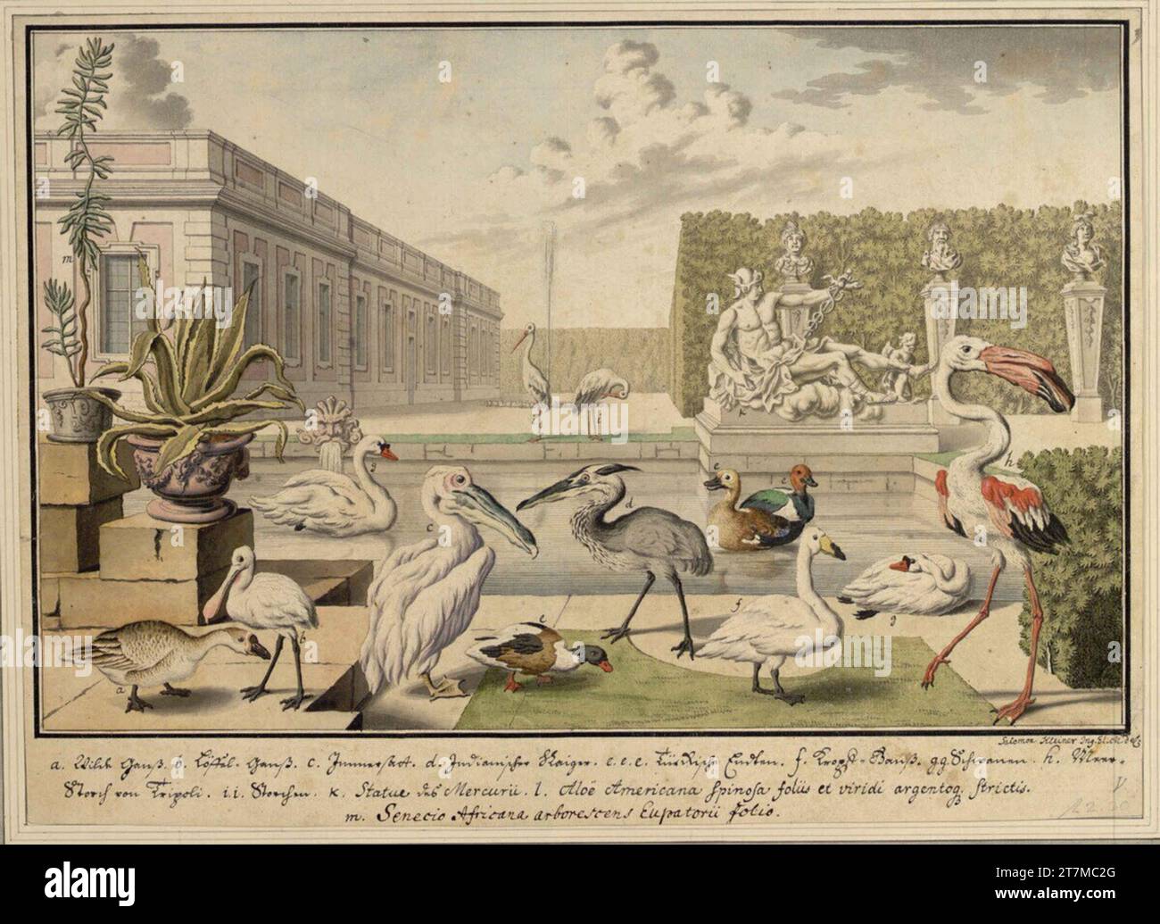 Watercolored drawings hi-res stock photography and images - Alamy