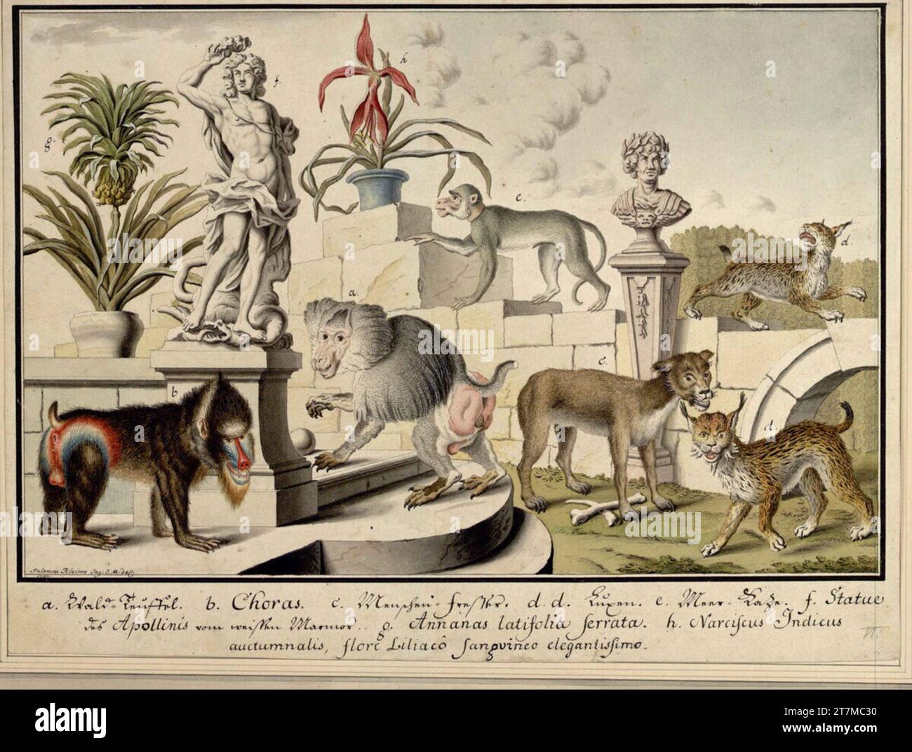 Watercolored drawings hi-res stock photography and images - Alamy