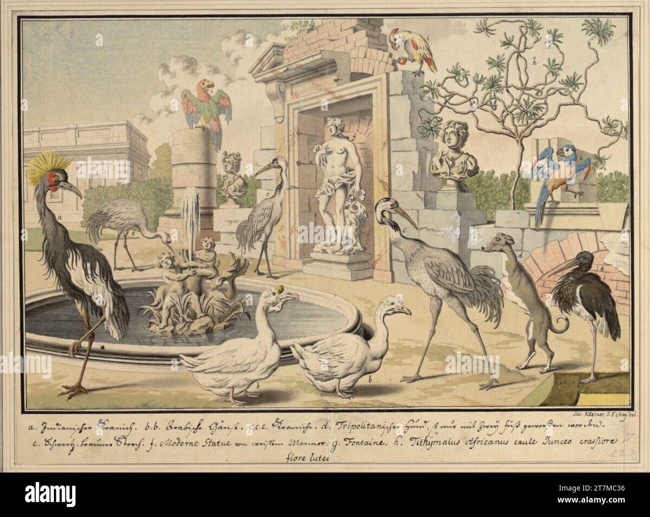 Watercolored drawings hi-res stock photography and images - Alamy