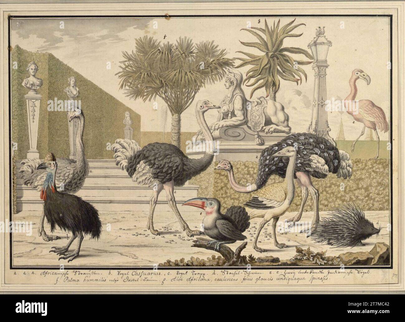 Watercolored drawings hi-res stock photography and images - Alamy