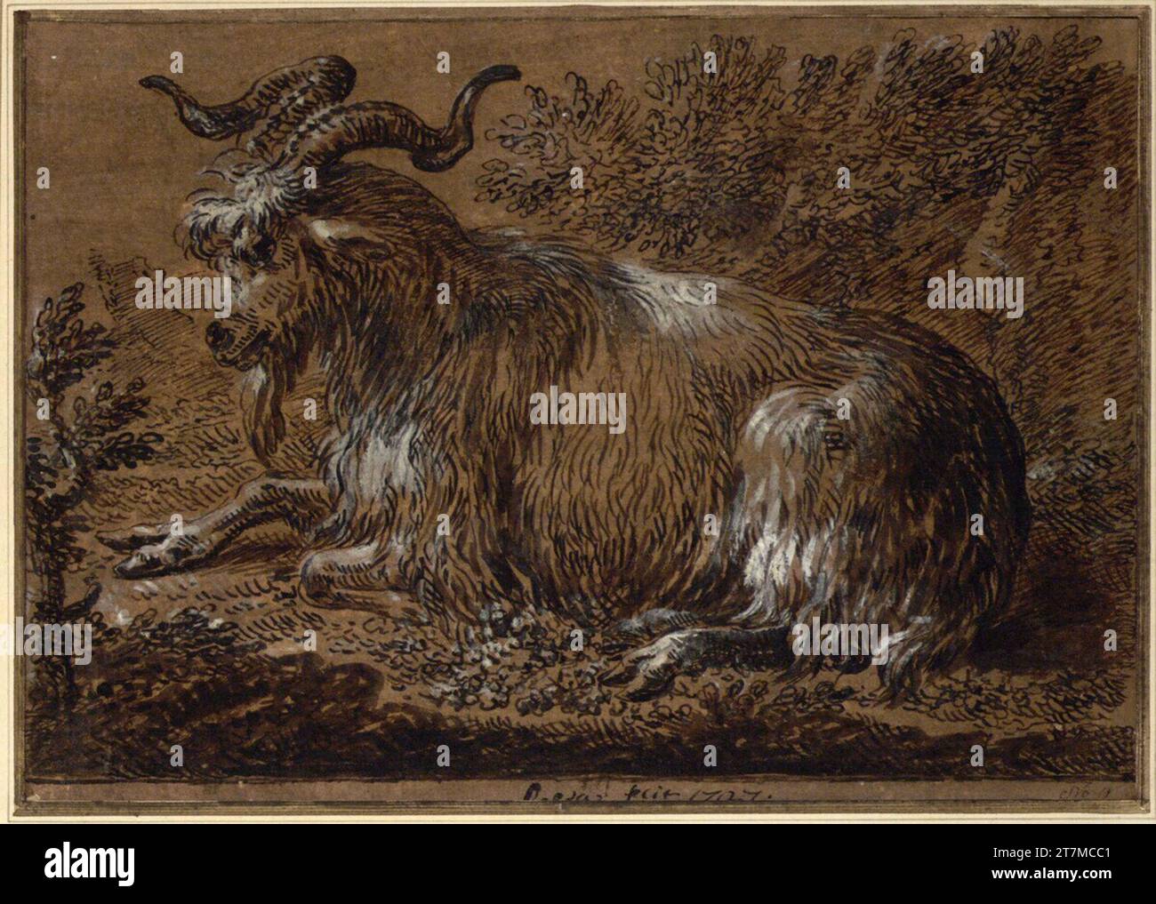 Philipp Peter Roos Lying goat. Pen and brushes in dark brown, laved ...