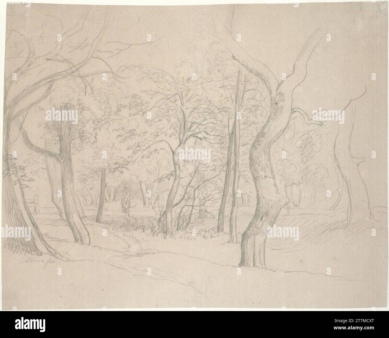 Toma matthias rudolf hi-res stock photography and images - Alamy