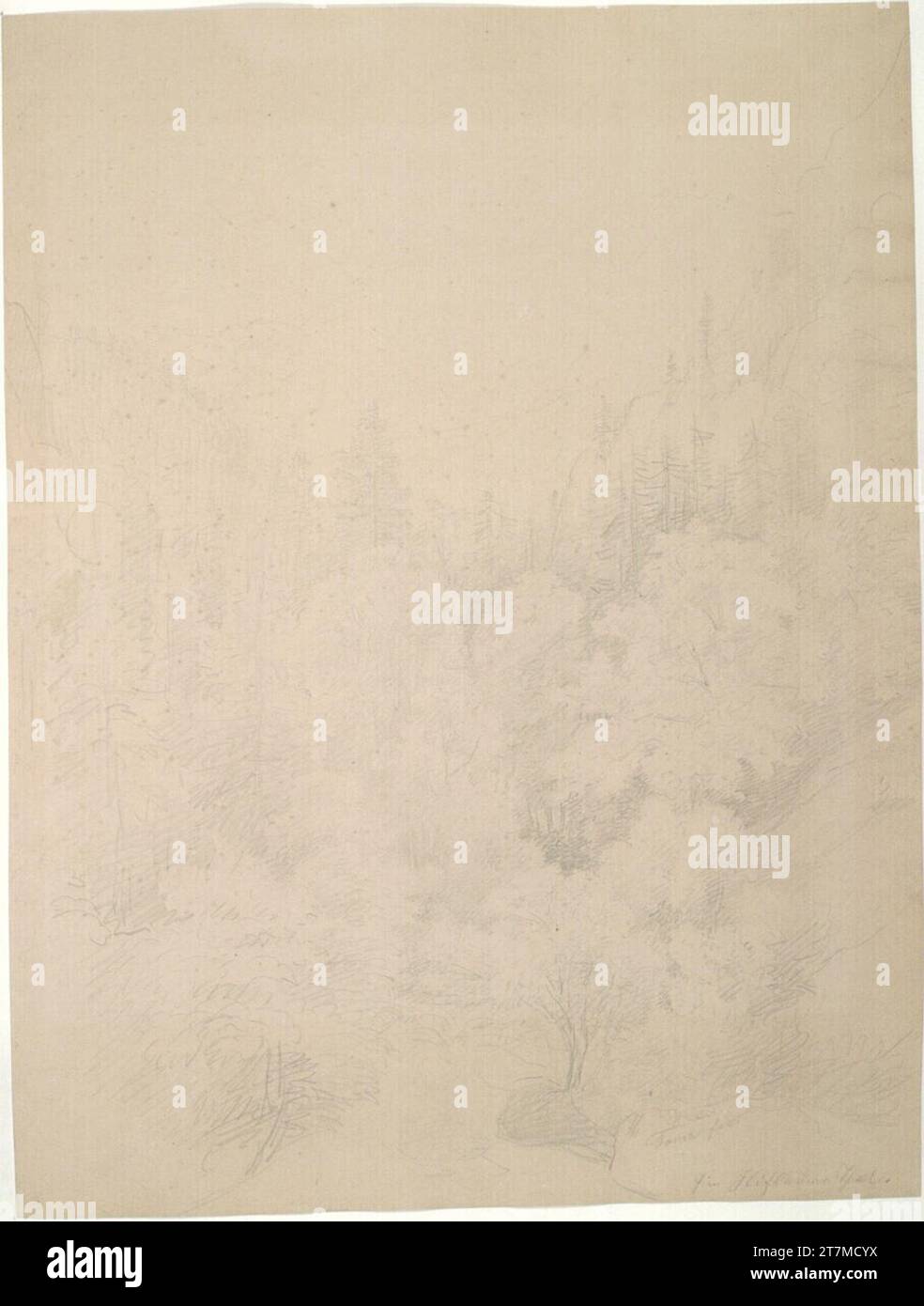 Matthias Rudolf Toma Forest landscape. Pencil Stock Photo - Alamy