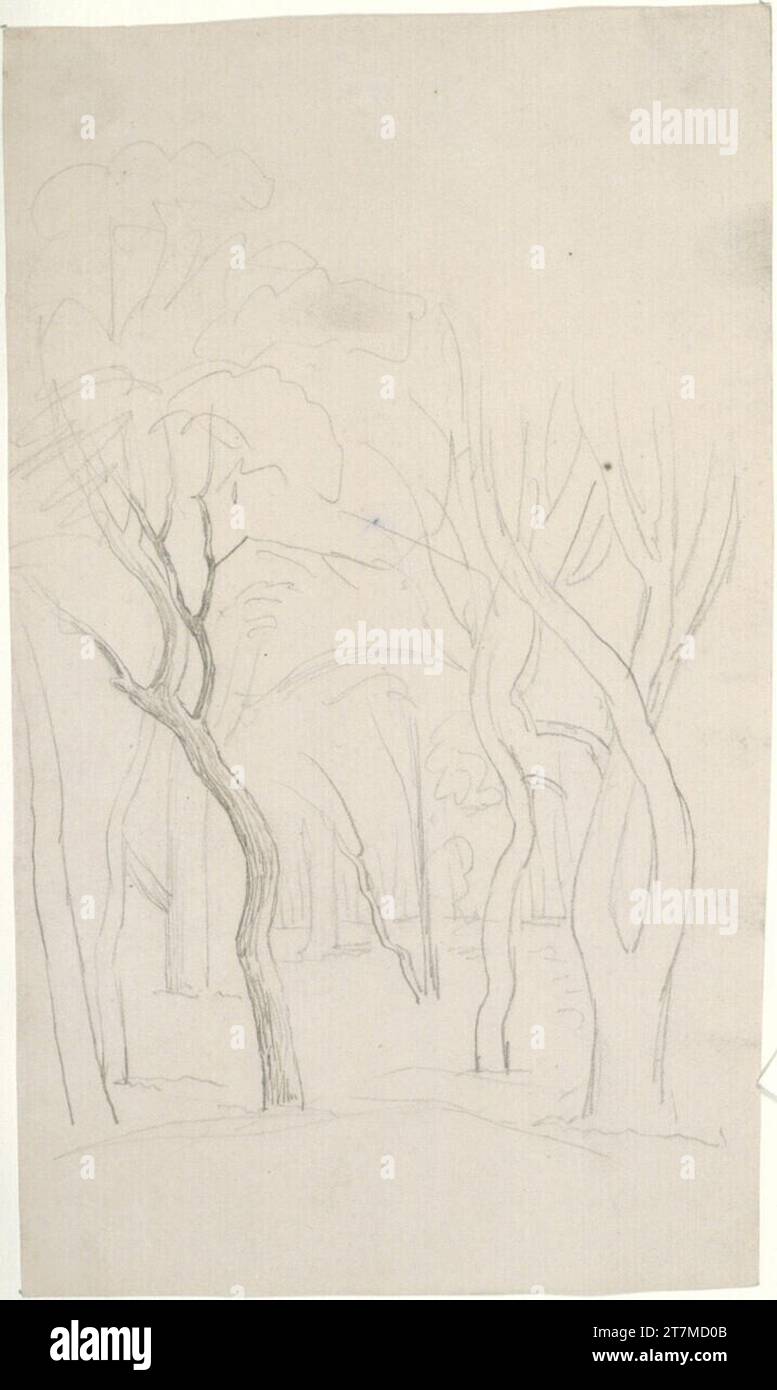 Matthias Rudolf Toma Sketch of a forest. Pencil Stock Photo - Alamy