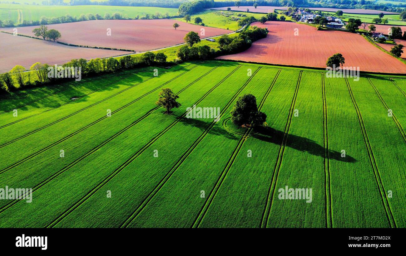 An aerial view of a large agricultural field with lush trees in ...