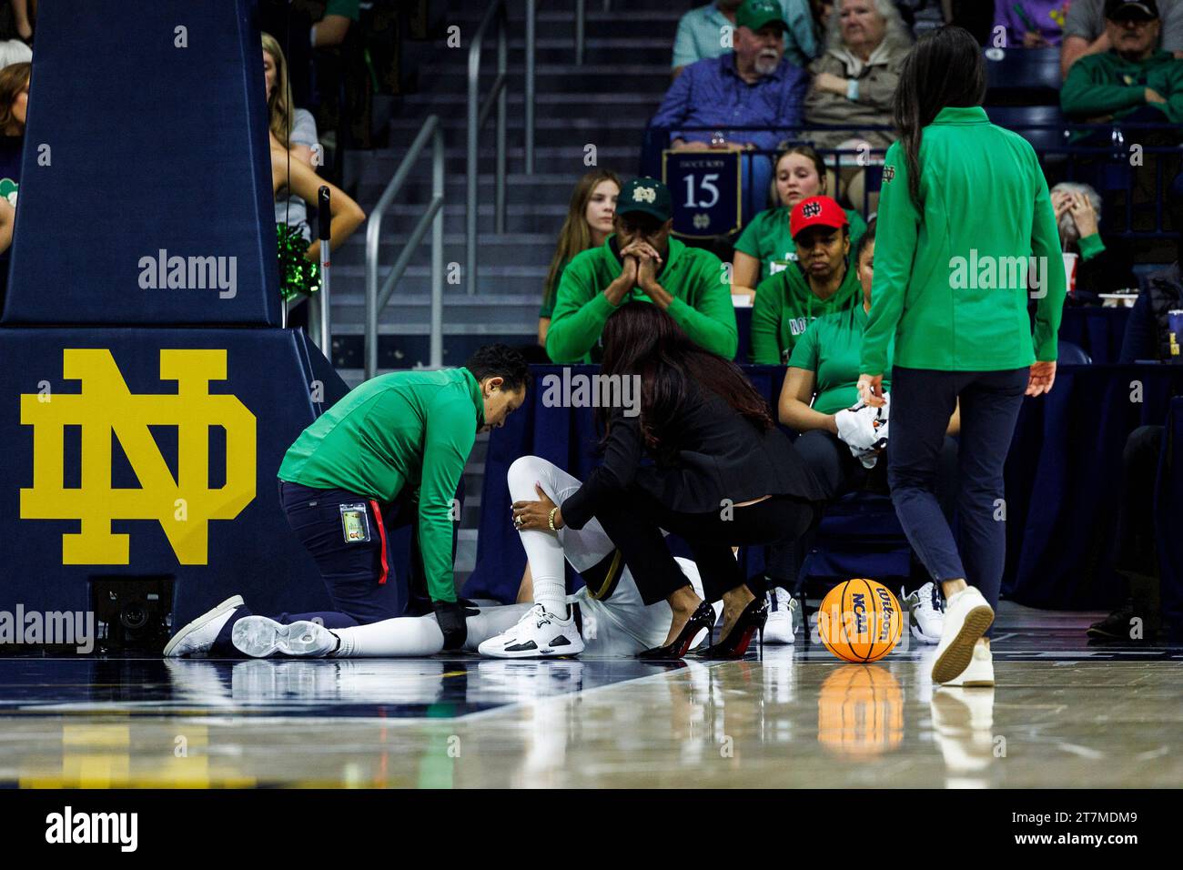 South Bend, Indiana, USA. 15th Nov, 2023. Notre Dame trainers tend to injured player Notre Dame ...