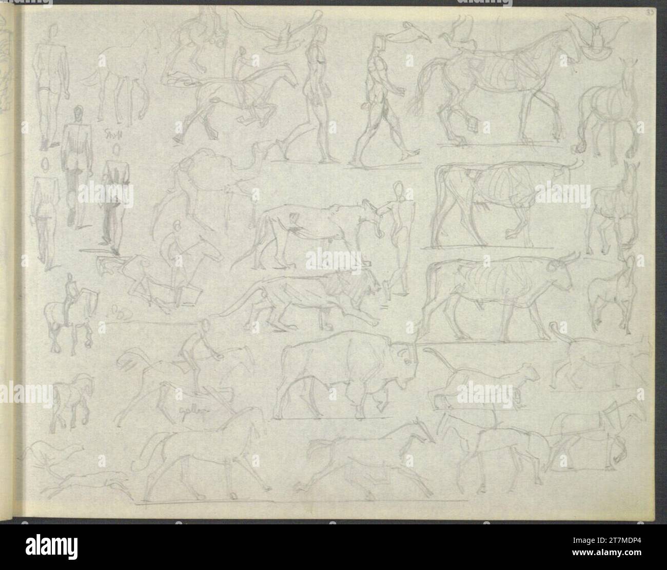 Alexander Rothaug Different sketches. Pencil around 1930 Stock Photo ...