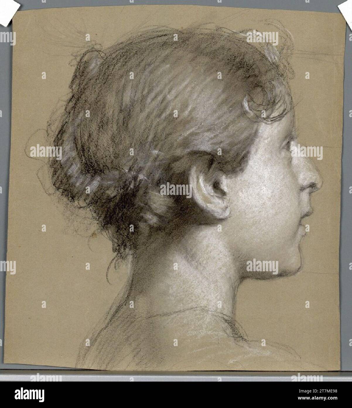 Alexander Rothaug Female head in profile. Pencil, chalk, wholesale ...