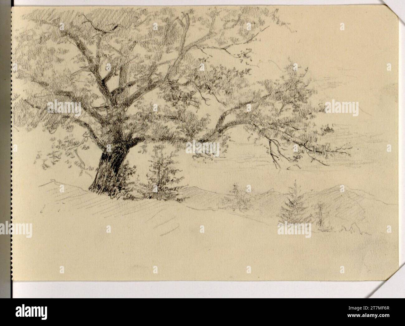 Josef Engelhart Tree and landscape study. Pencil Stock Photo - Alamy
