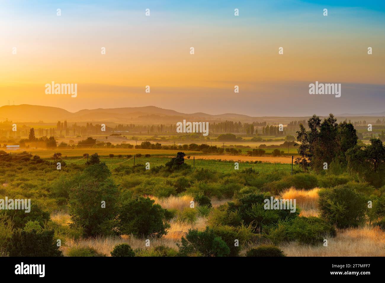 Dawn in the crop fields and farms at Region del Maule in Central Chile ...