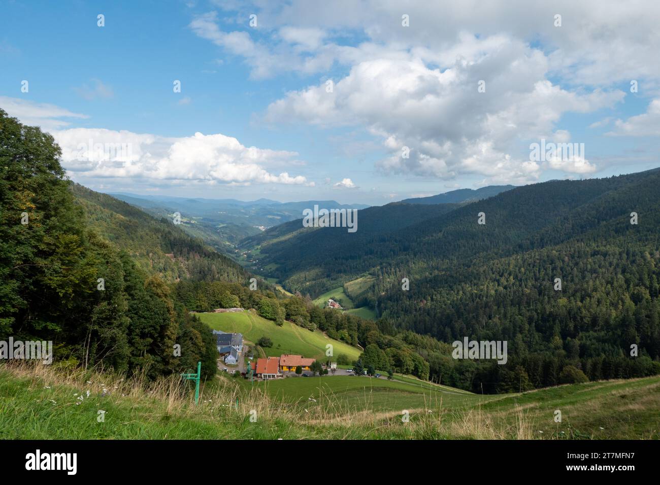 Beautiful scenic hilly farmland hi-res stock photography and images - Alamy