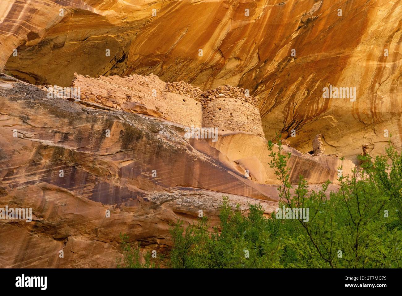 Monarch Cave Ruins, an Ancestral Puebloan cliff dwelling in a side ...