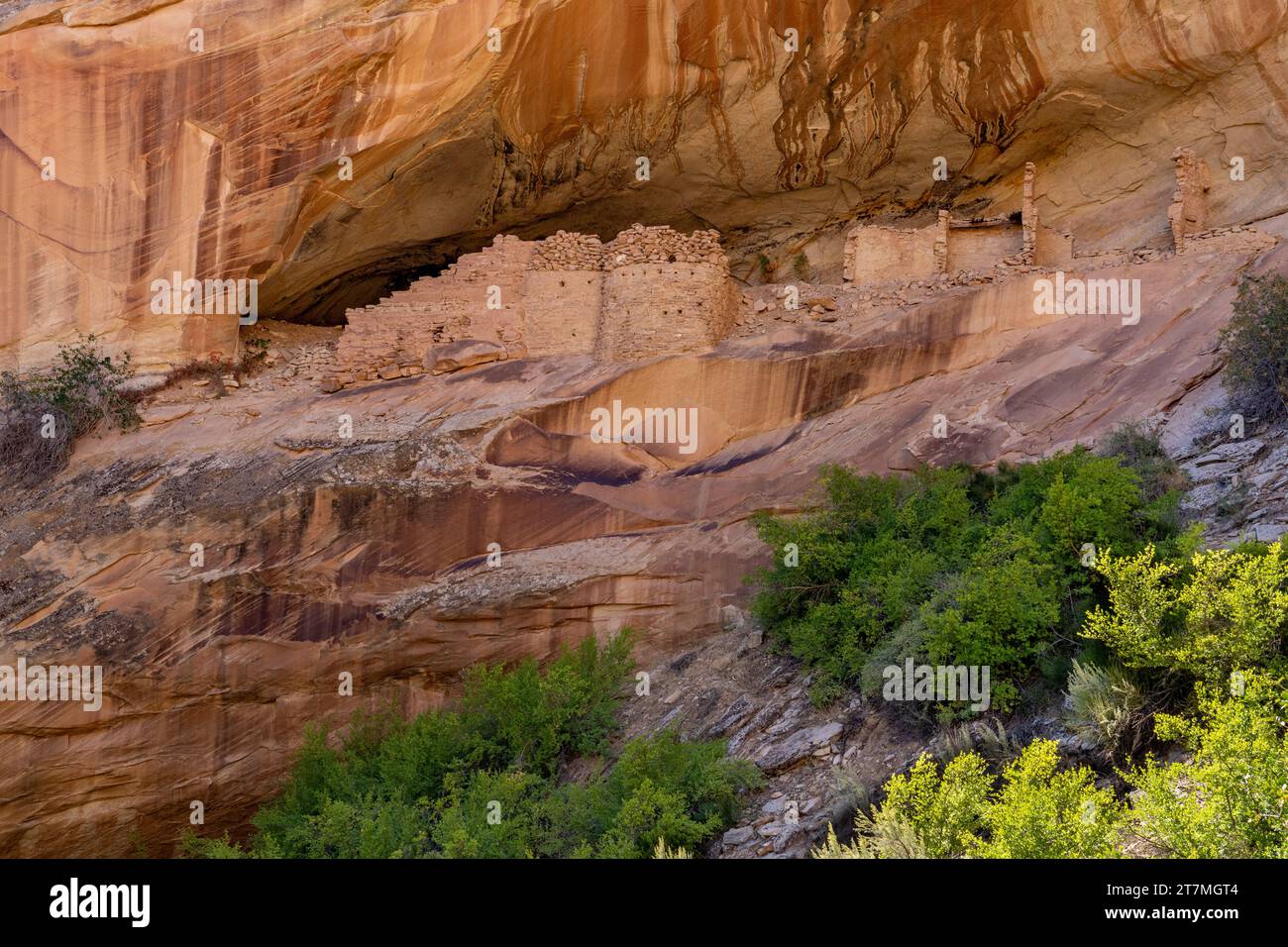 Monarch Cave Ruins, an Ancestral Puebloan cliff dwelling in a side ...