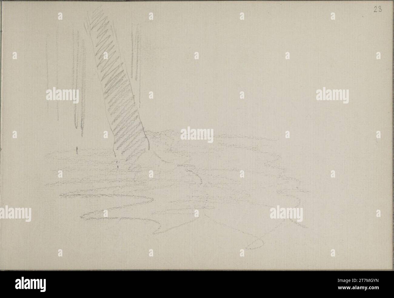 Study tree trunk hi-res stock photography and images - Alamy