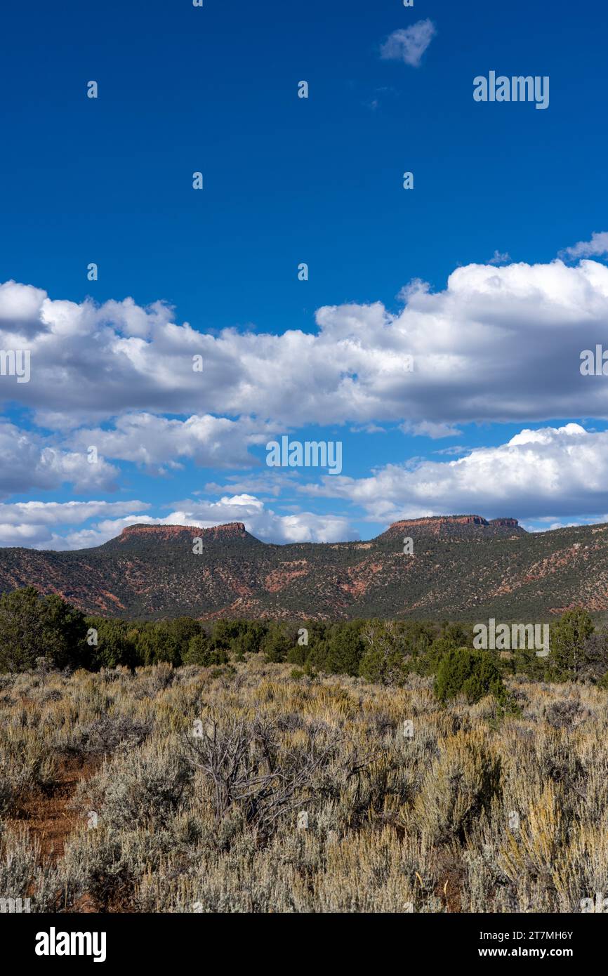 Cedar Mesa with the Bears Ears peaks in the Bears Ears National ...