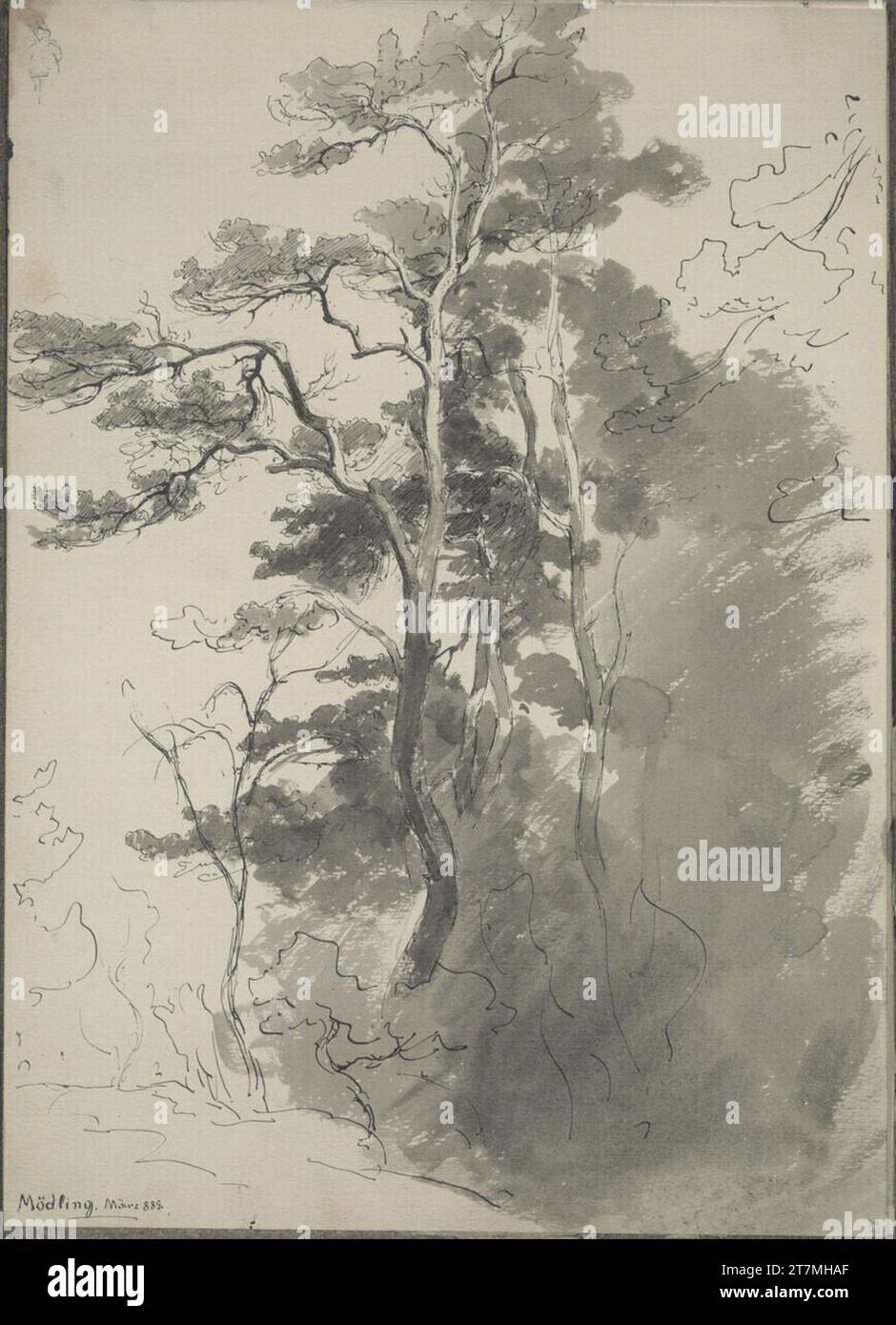 Ludwig Rösch Forest study in Mödling. Pencil; Feder in black; lavated ...