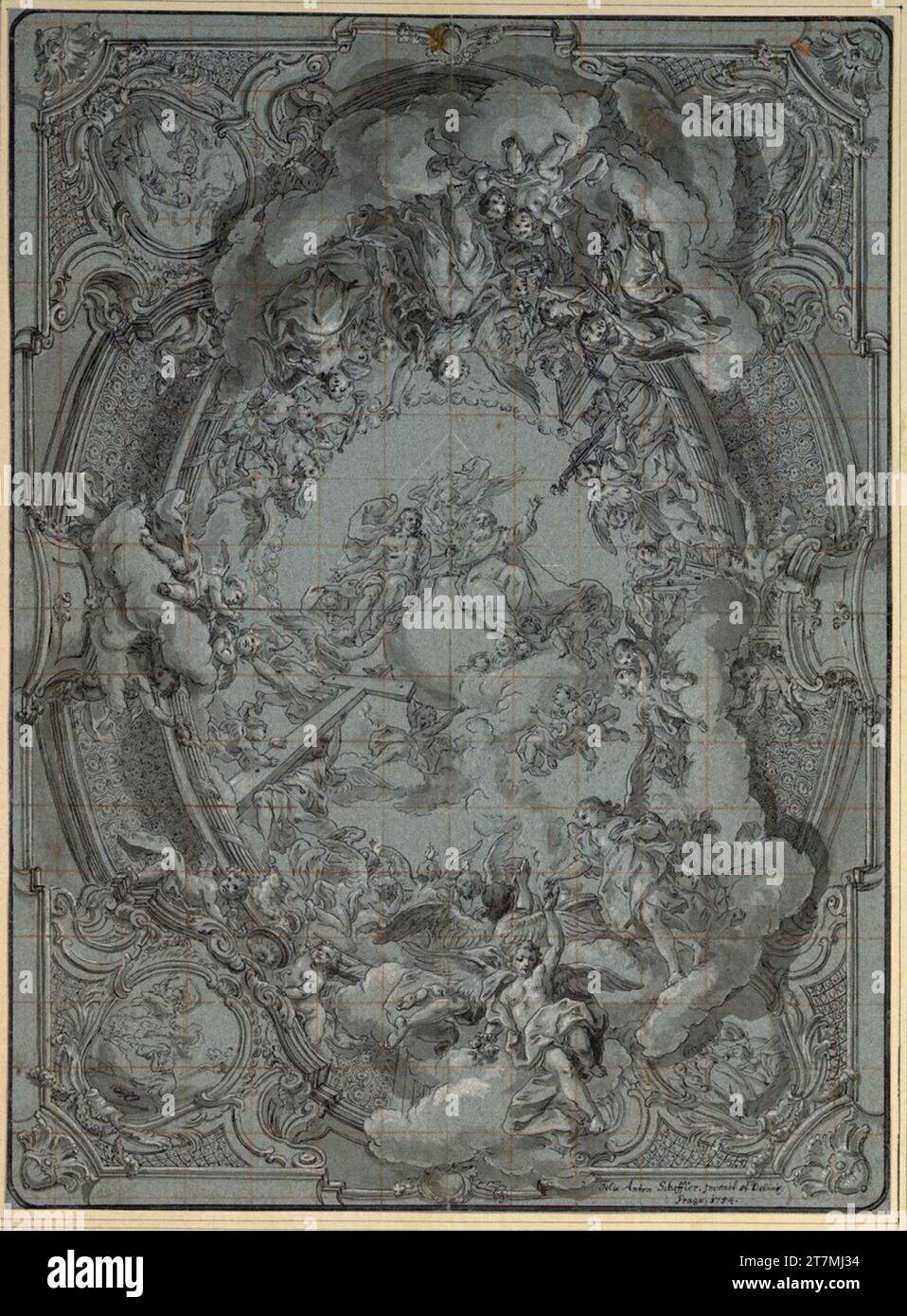 Gray felix hi-res stock photography and images - Alamy