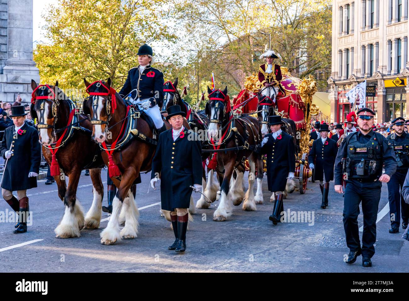 Streets of gold horse hi-res stock photography and images - Alamy