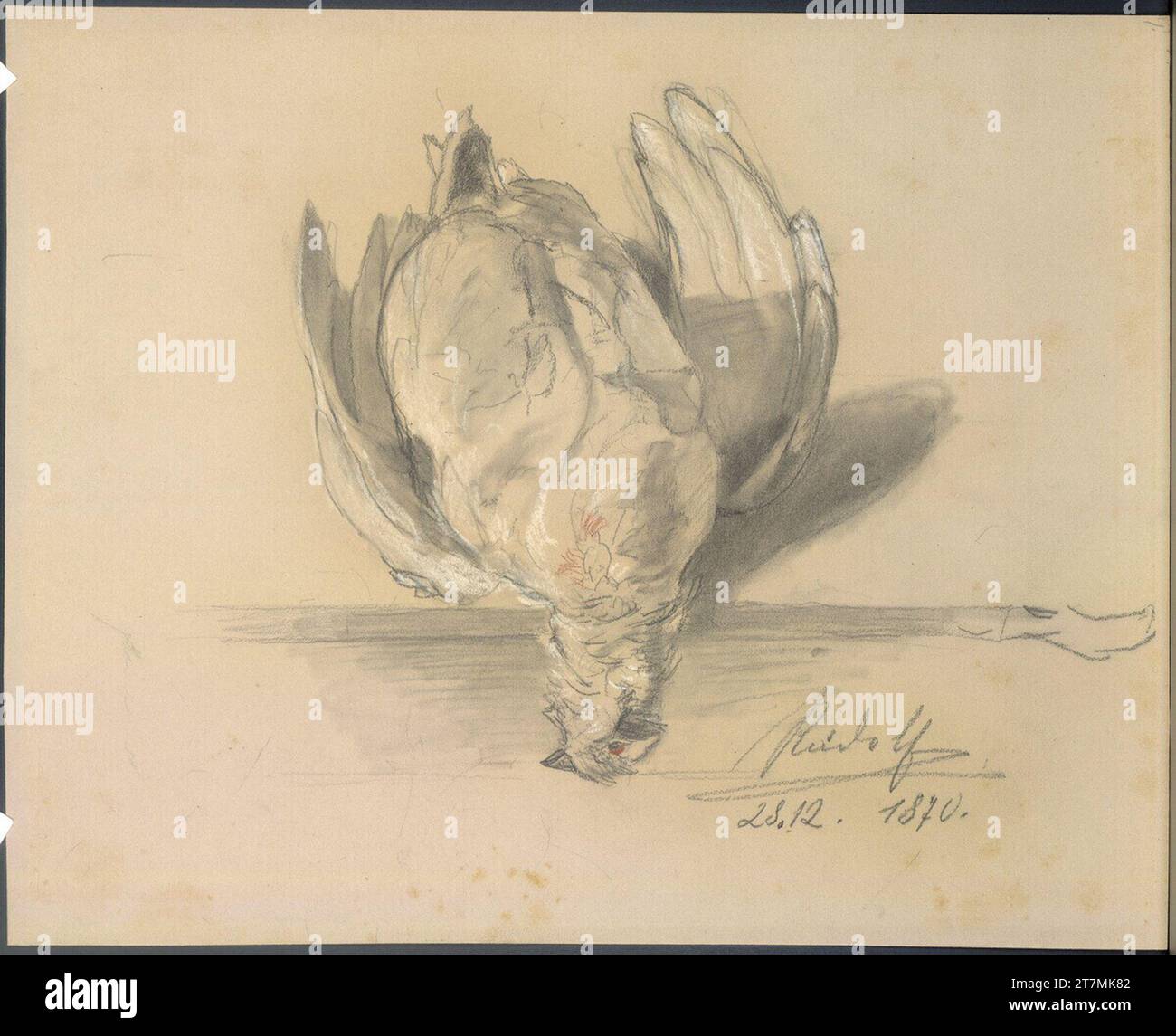 Rudolf Habsburg-Lothringen Dead quail. Chalk, coal 1870 , 1870 Stock ...