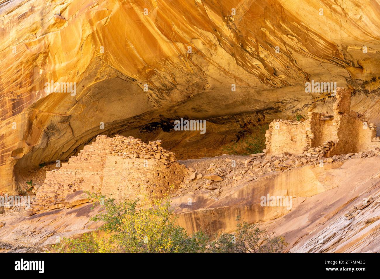 Monarch Cave Ruins, an Ancestral Puebloan cliff dwelling in a side ...