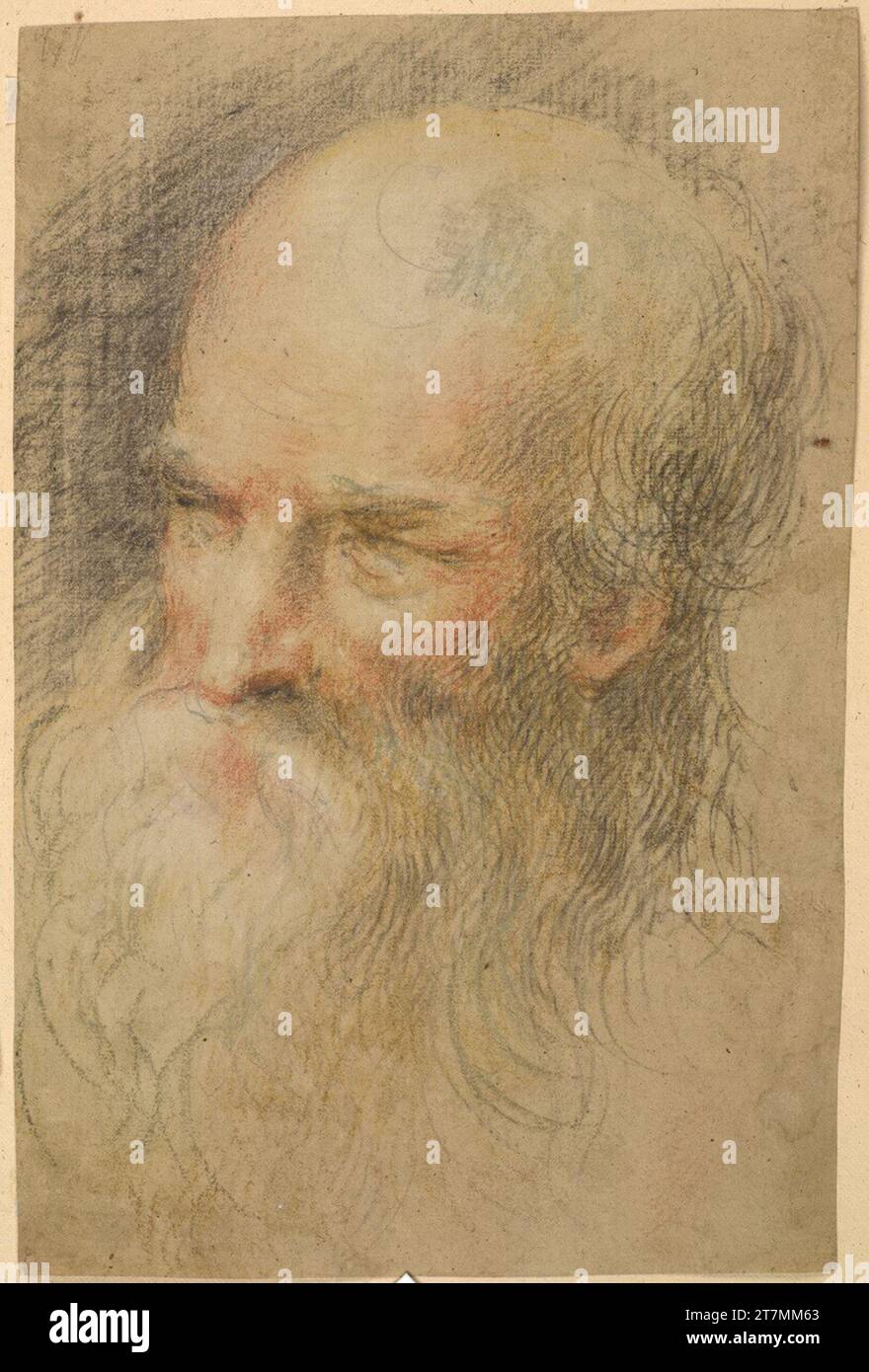 Peter Paul Rubens (School) Head of a bearded man. Black chalk, reddish ...