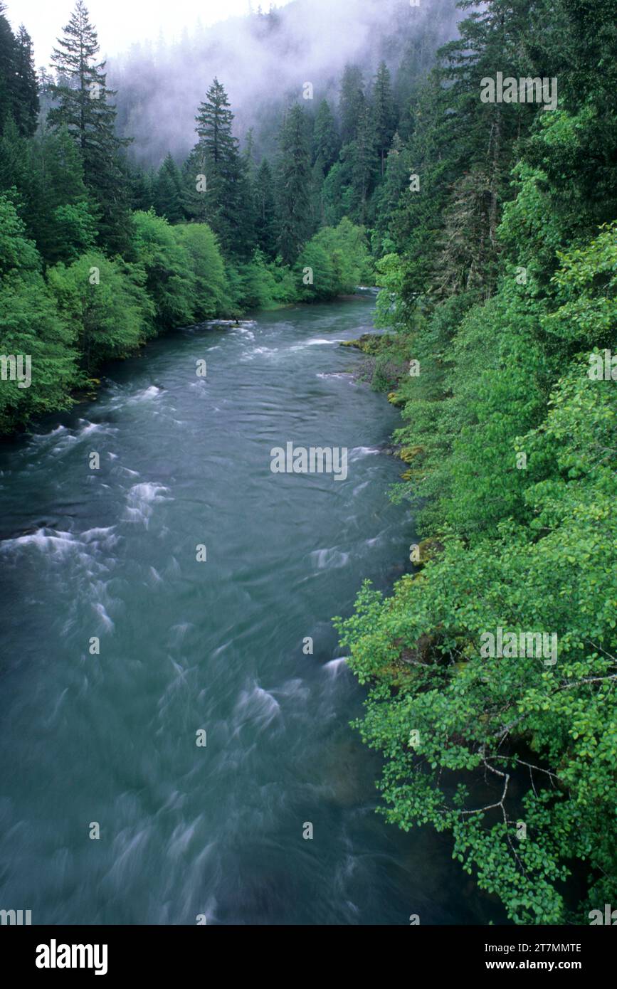 North Umpqua Wild & Scenic River, Umpqua National Forest, Oregon Stock ...