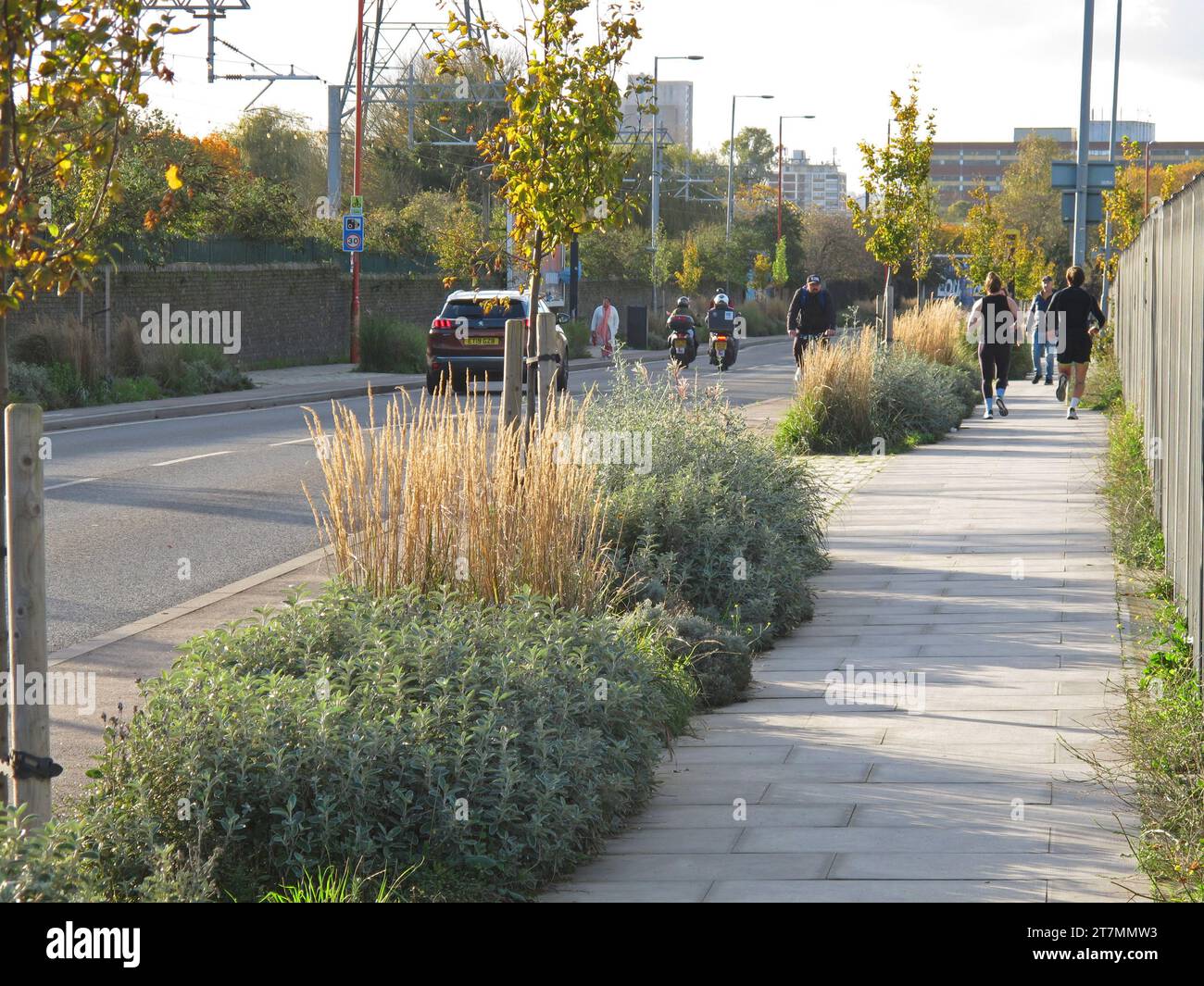 Newly installed planting separates the pavement from a new cycle path ...