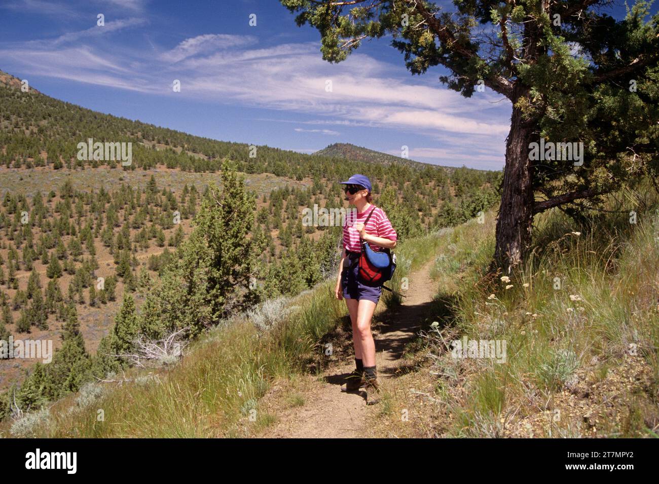 Gray butte trail hi-res stock photography and images - Alamy
