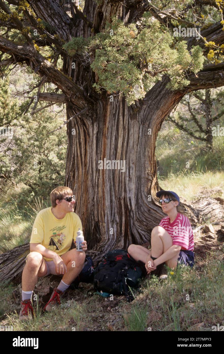 Gray butte trail hi-res stock photography and images - Alamy