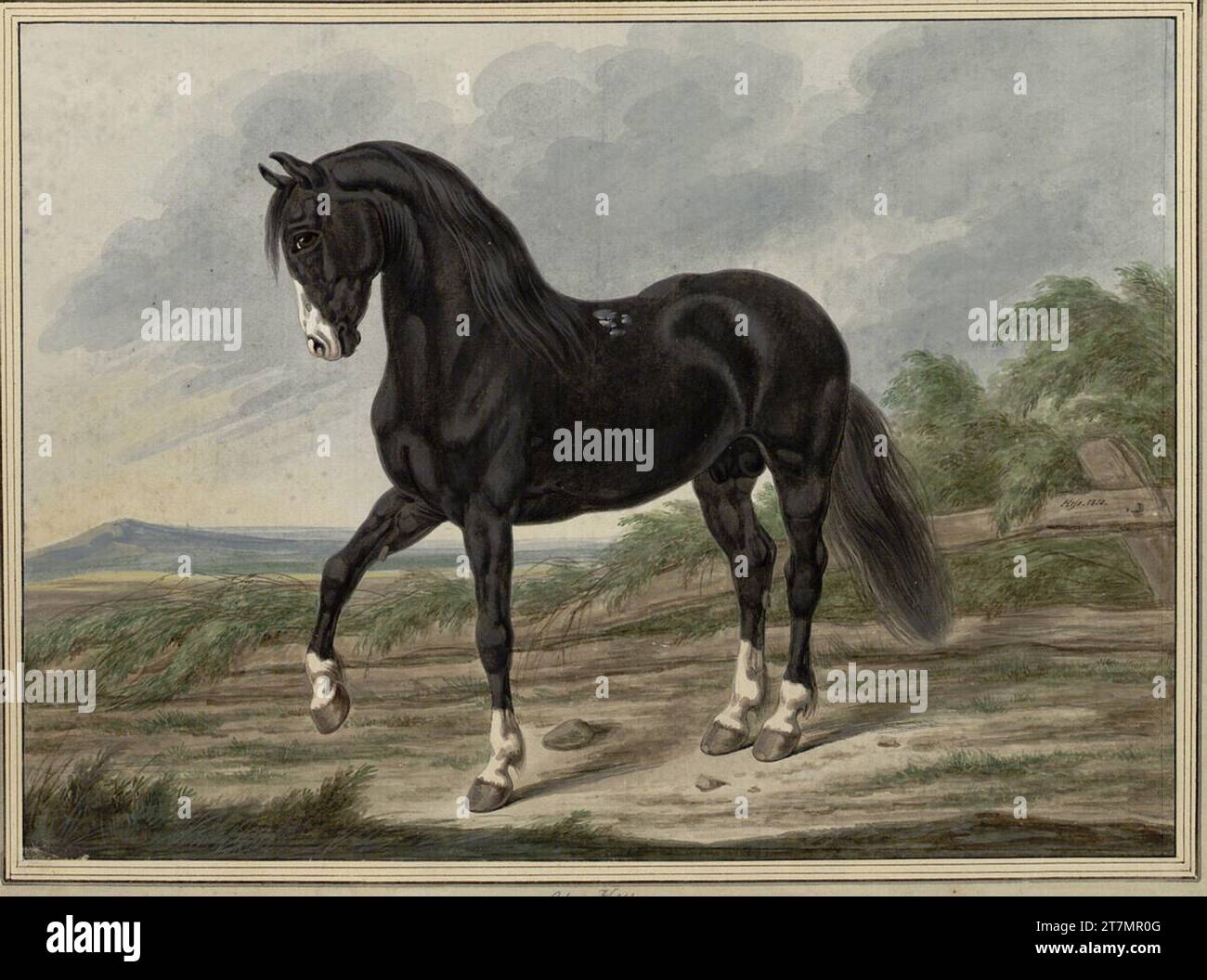 Carl Adolph Heinrich Heß Black German draft horse to the left. Etching ...