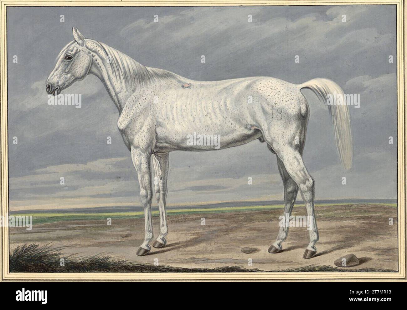 Carl Adolph Heinrich Heß An Arab or Tartar horse that Napoleon rode in ...