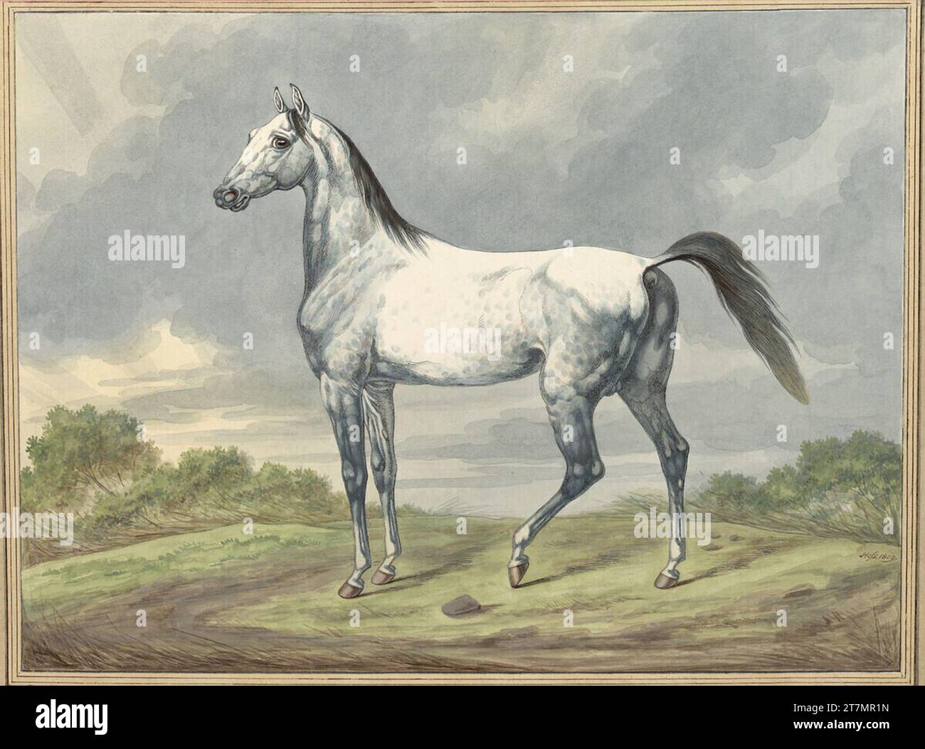 Carl Adolph Heinrich Heß Arabic apple mold to the left. Etching ...