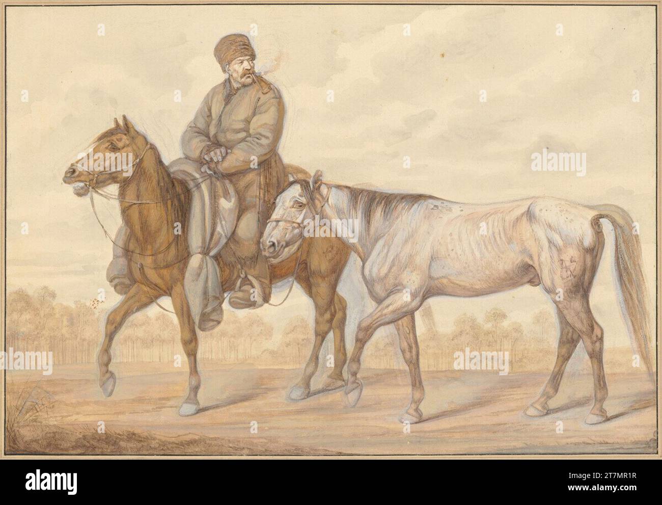 Gray tatar horse hi-res stock photography and images - Alamy