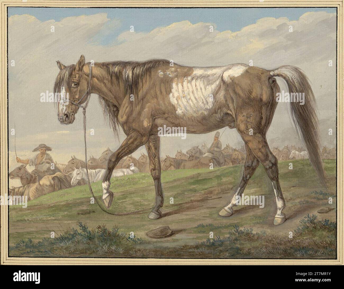 Carl Adolph Heinrich Heß Polish remont horse for the light Saxon ...