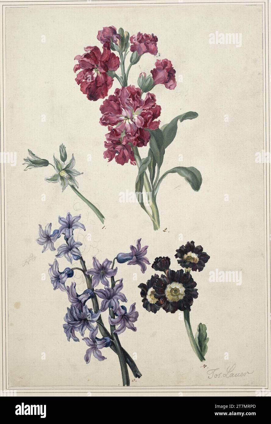 Four flower studies hi-res stock photography and images - Alamy