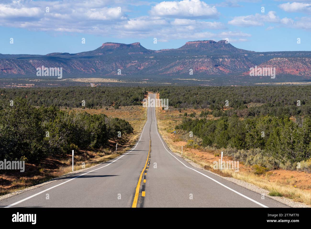 The Trail of the Ancients road on Cedar Mesa with the Bears Ears behind ...