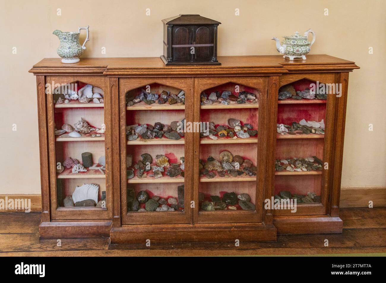 Wooden specimen case hi-res stock photography and images - Alamy