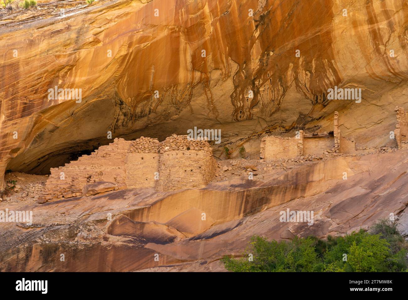Monarch Cave Ruins, an Ancestral Puebloan cliff dwelling in a side ...