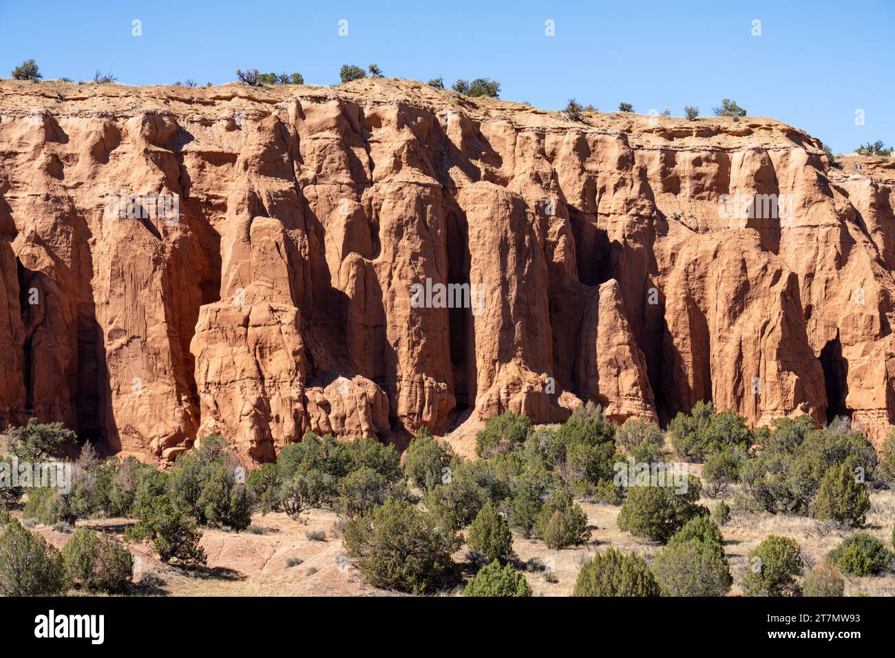 Eroded sandstone formations and pinyon-juniper forest in Kodachrome ...
