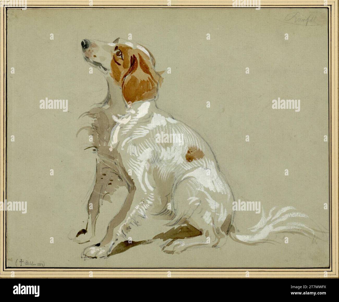 Johann Mathias Ranftl A chicken dog. Watercolor 1840-1850 , 1840/1850 ...